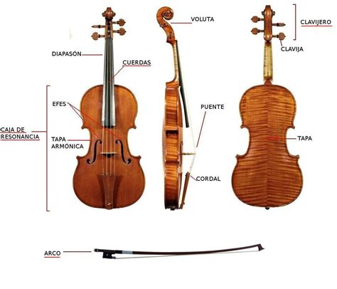 La Biblioteca De Delfos TEMA 7 FAMILIA DE INSTRUMENTOS CUERDA
