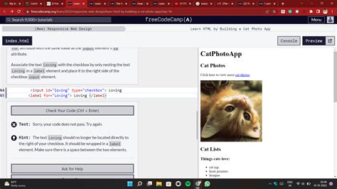 Learn Html By Building A Cat Photo App Step Html Css The