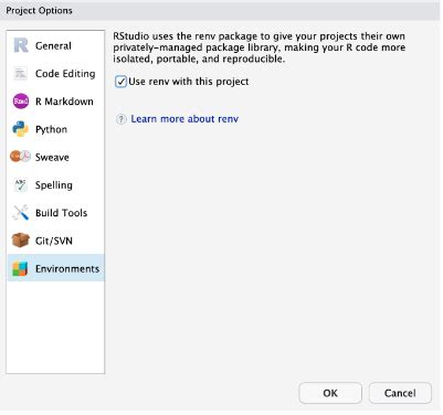 Creating And Sharing Reproducible Environments With Renv Introduction