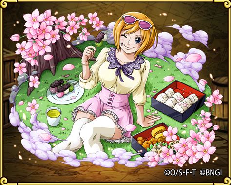 Koala One Piece Image Zerochan Anime Image Board