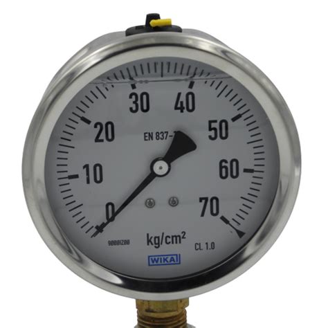 WIKA Pressure Gauge Body SS With Brass Internals Dial Size 63mm