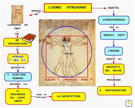 Mappa Concettuale Uomo Vitruviano Scuolissima