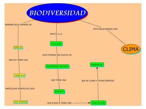 Mapa Conceptual De La Biodiversidad 2 Mapasytemas10 Udocz NBKomputer