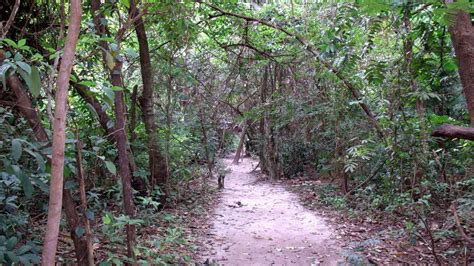Bosque Gonzaguinha Canaã dos Carajás