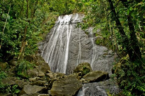 Bosque Nacional El Yunque R O Grande Puerto Rico Descubra Puerto Rico