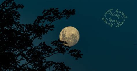 Luna Llena En Piscis Efectos Para Cada Signo
