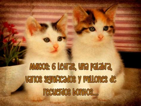 Imágenes Para Descargar Gratis De Gatitos Con Frases Tiernas Para Compartir En Facebook