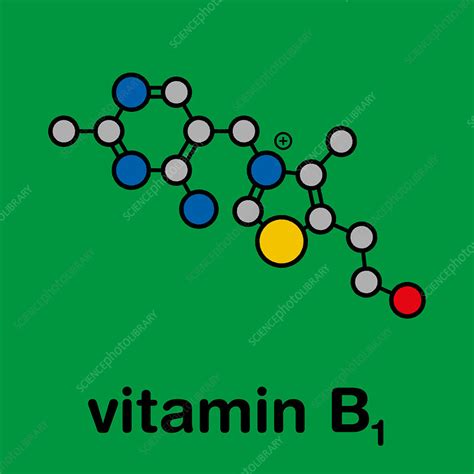 Vitamin B1 Molecule Illustration Stock Image F027 9713 Science