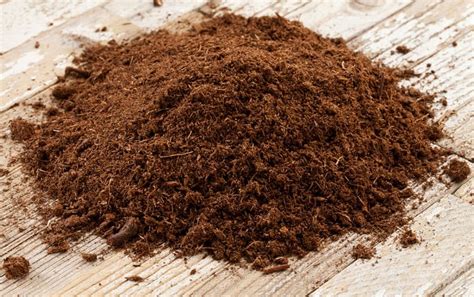 Types Of Potting Soils Explained Harper S Nurseries