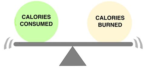 IS FASTED CARDIO BETTER FOR FASTER FAT LOSS GymGuider
