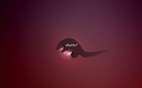 ubuntu 12 04 lts precise pangolin released ~ vogh voice of greyhat leading resource of