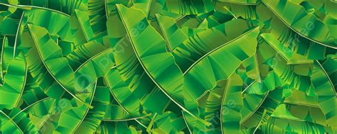 Background Latar Belakang Daun Pisang Hijau Daun Pisang Daun Hijau