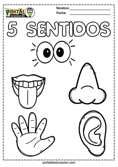 Pin De Pily Barrientos En Preescolar Temas Actividades 5 Sentidos