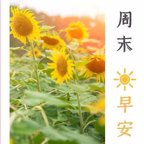 每日一签日历图片今日2月27日早安 束光来 路宽一 如海