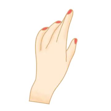 Hand Gesture Illustration Take Me Gestures Hand Gesture Illustration