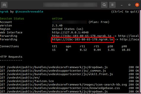 How To Access The Website Using Ngrok On Localhost On Ubuntu