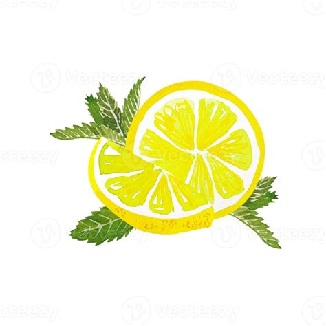 Watercolor Citrus Lemon Slice 11571882 PNG