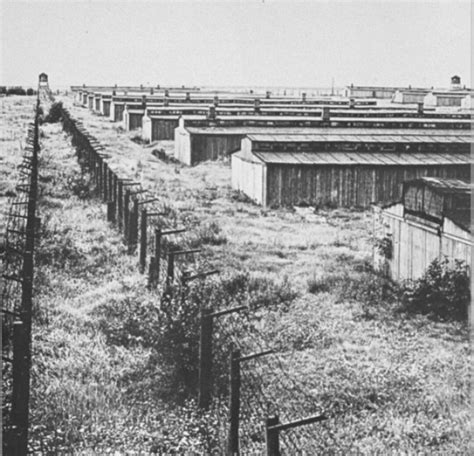 Giorno Della Memoria Ecco I Nomi Dei Soldati Irpini Internati E