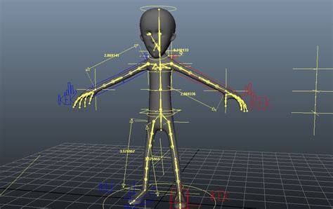 learning about animation 3d rigging
