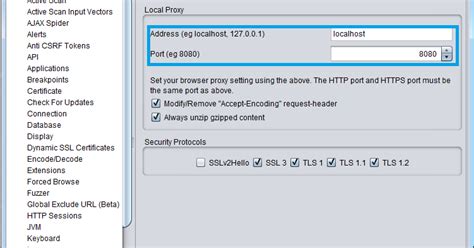 A Quick Tutorial For OWASP ZAP Tool For Beginners