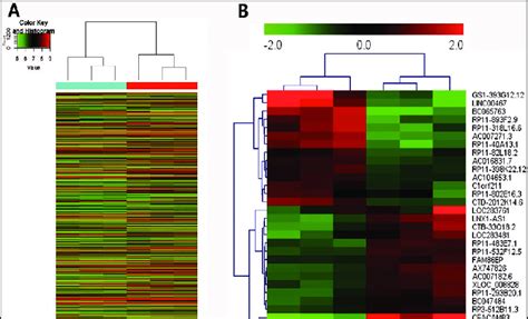 Microarray Profiles A Hierarchical Clustering Of LncRNA Expression