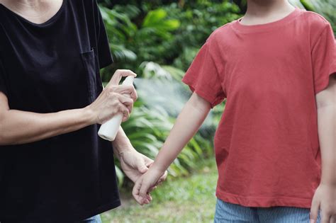 Kleszczowe zapalenie mózgu przyczyny objawy leczenie Poradnik Gemini