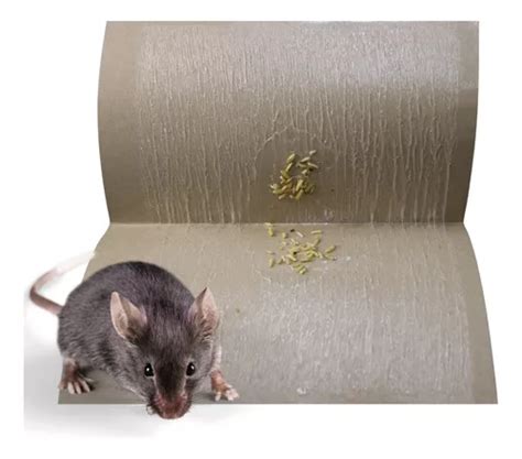 Ratoeira Adesiva Pega Gruda Cola Rato Potente C 10 Unidades