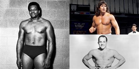 Wrestlers You Didnt Know Wrestled For Wwe In The S Wild News