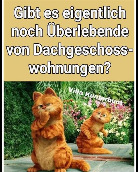 Sommerhitze Hitze Lustige Sprüche