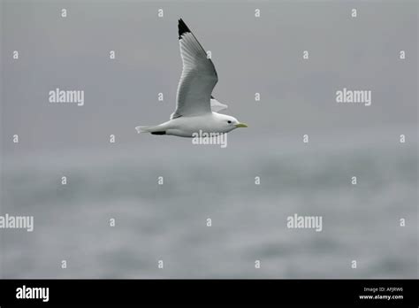 Coeficiente de arrastre fotografías e imágenes de alta resolución Alamy