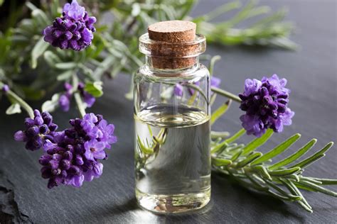 Huile Essentielle De Lavande Vraie Officinale Dorry