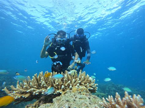 Choose The Best Scuba Diving In Havelock Island Try Dive Flickr
