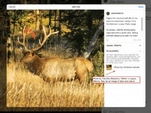 Instagram SEO 10 Expertentipps für bessere Reichweiten