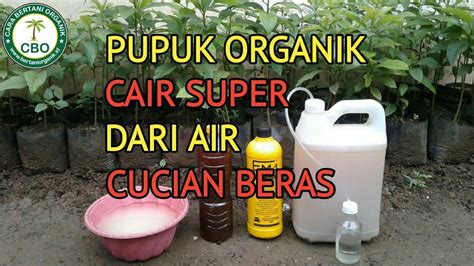 Membuat Pupuk Organik Cair Dari Air Cucian Beras Liquid Organic