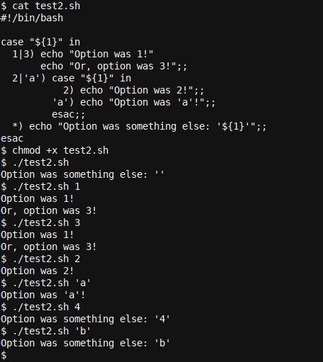 how to use case esac statements in bash