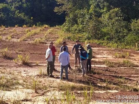 Plano de Recuperação de Áreas Degradadas PRAD da BR 319 AM RO em ação