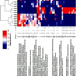 Heatmap Showing The Relative Abundance Of Selected OTUs