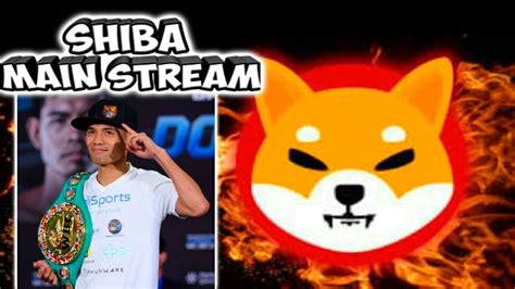 SHIBA INUSUBIENDO SHIBARMY TO THE MOONNonito Donaire MAIN STREAM