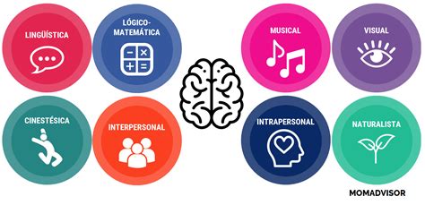 Las 8 Inteligencias Múltiples de Gardner MOMadvisor