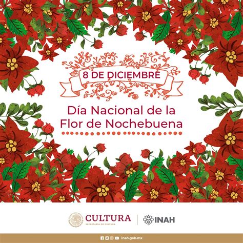 INAHmx on Twitter Efeméride Día Nacional de la flor de Nochebuena