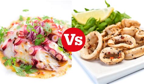 Calamar Vs Pulpo