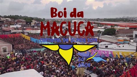 Cortejo Do Boi Da Macuca Carnaval 2019 YouTube
