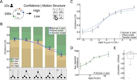 human visual motion perception shows hallmarks of bayesian structural inference nature