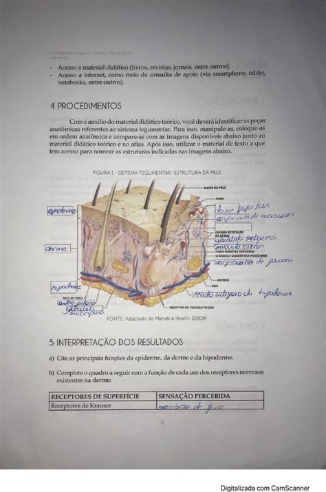 Manual de Práticas da Disciplica de Anatomorfologia do Sistema