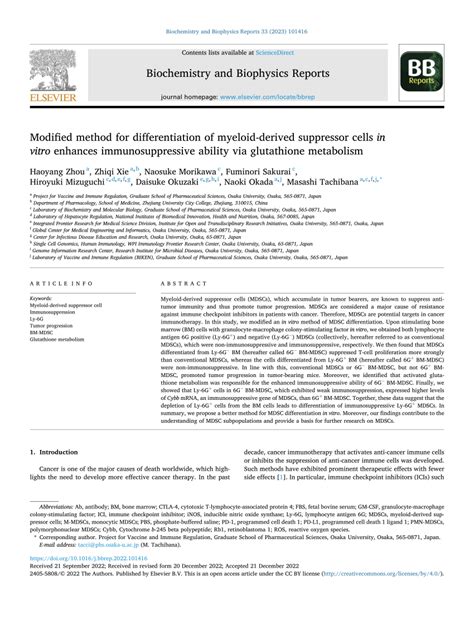 pdf modified method for differentiation of myeloid derived suppressor cells in vitro enhances