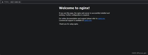 linux中安装nginx，很详细 linux安装nginx详细步骤 csdn博客