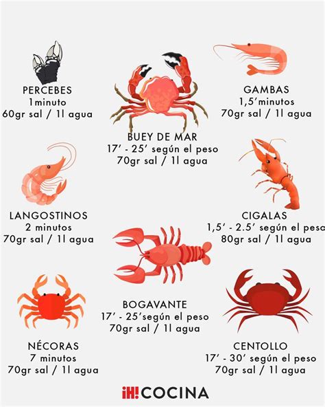 HOLA Cocina on Instagram Te contamos cómo cocer marisco en casa y
