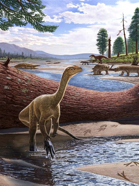 Fóssil de dinossauro mais antigo da África é achado no Zimbábue Farol