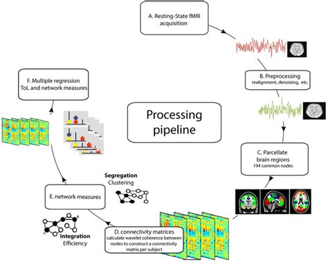 outline of the processing pipeline a resting state fmri data were download scientific