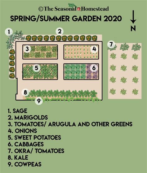 Vegetable Garden Layout In Rows All About Hobby